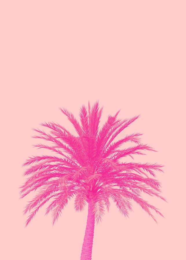 3d Pink Palm Tree Stock Illustrations – 1,959 3d Pink Palm Tree Stock ...