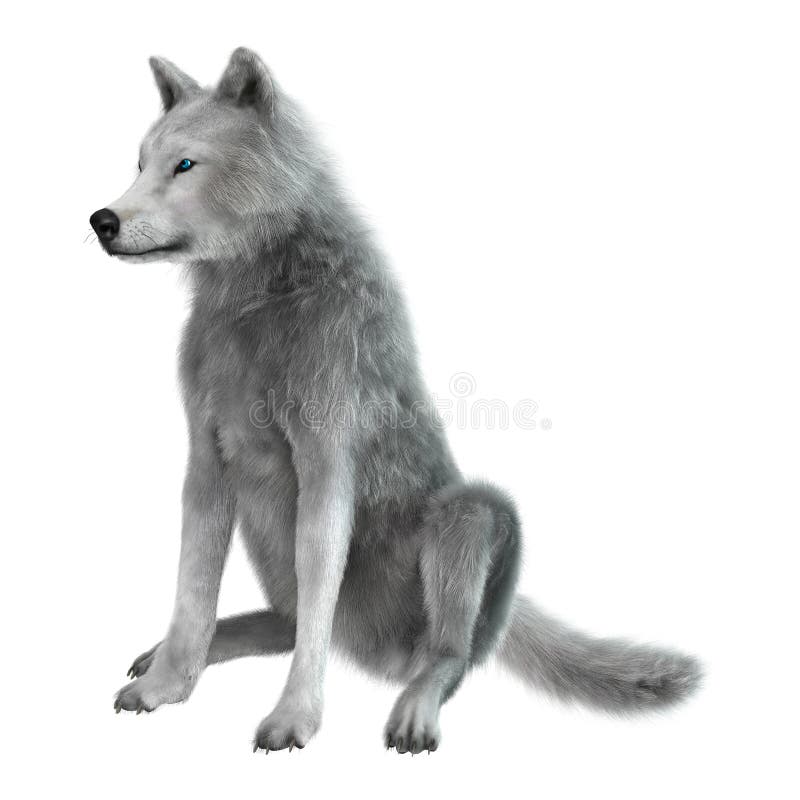 3D Que Rinde El Lobo ártico En Blanco Stock de ilustración ...