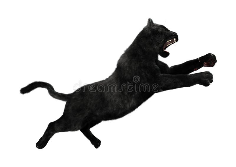 3D Que Rinde La Pantera Negra En Blanco Stock de ilustración ...