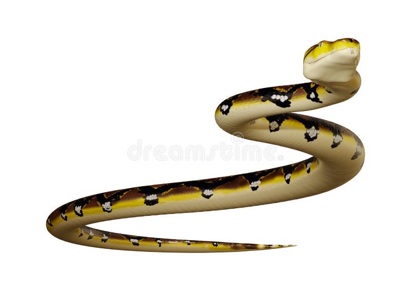 3D Que Rinde Python Reticulado En Blanco Stock de ilustración ...