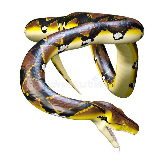 3D Que Rinde Python Reticulado En Blanco Stock de ilustración ...