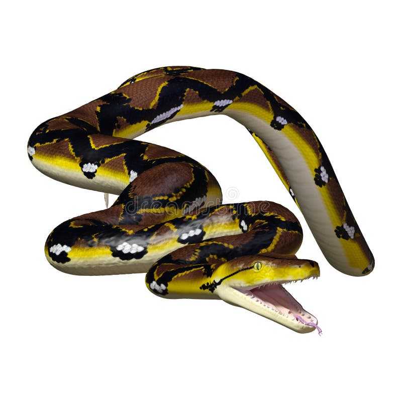 3D Que Rinde Python Reticulado En Blanco Stock de ilustración ...