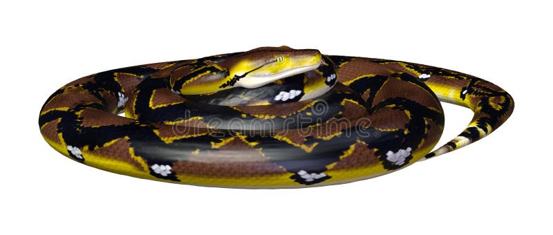 3D Que Rinde Python Reticulado En Blanco Stock de ilustración ...