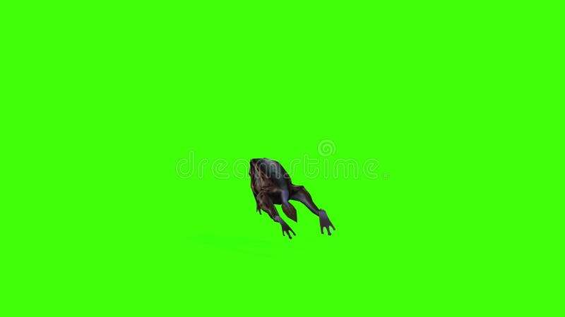 3D Realistic Frog Jumping Loop Animation with Back View on Green Screen ...