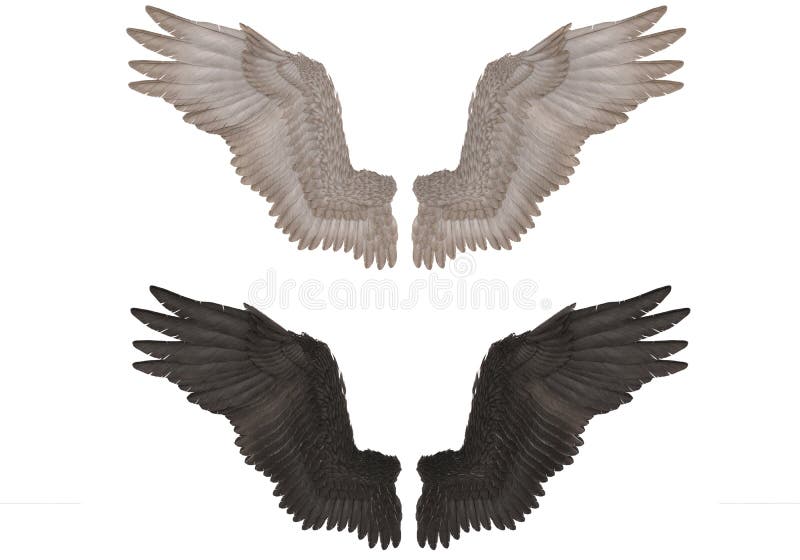 3D Realistic Isolated Angel Wings Pair of Falcon Wings, Wings Design ...