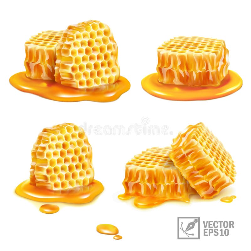 Honeycomb Realistic Vector Stock Illustrations – 2,003 Honeycomb ...