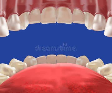 3d Realistic Mouth Cavity View from Inside Stock Illustration ...