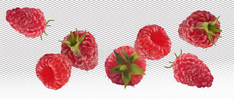 3D Realistic Raspberry on Transparent Background. Motion Raspberry from ...