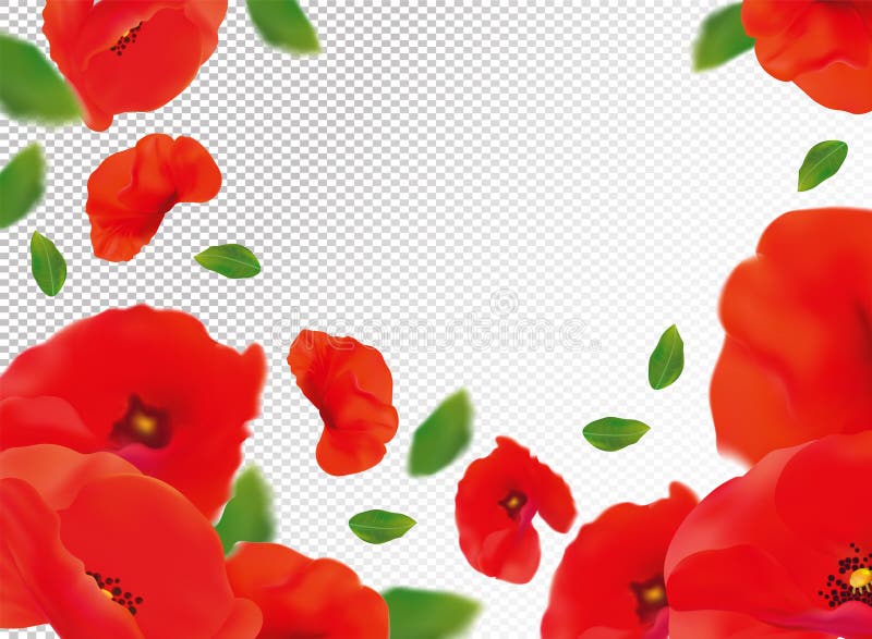 3D Realistic Red Poppies with Green Leaf. Red Poppies Flower in Motion ...