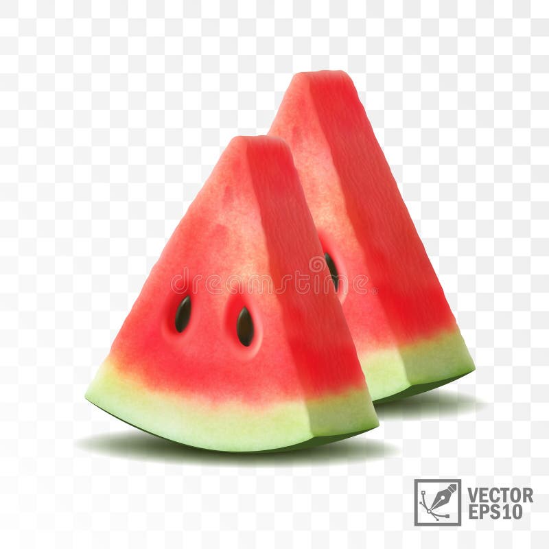 3d Realistic Transparent Isolated Vector, Slices of Juicy Watermelon ...