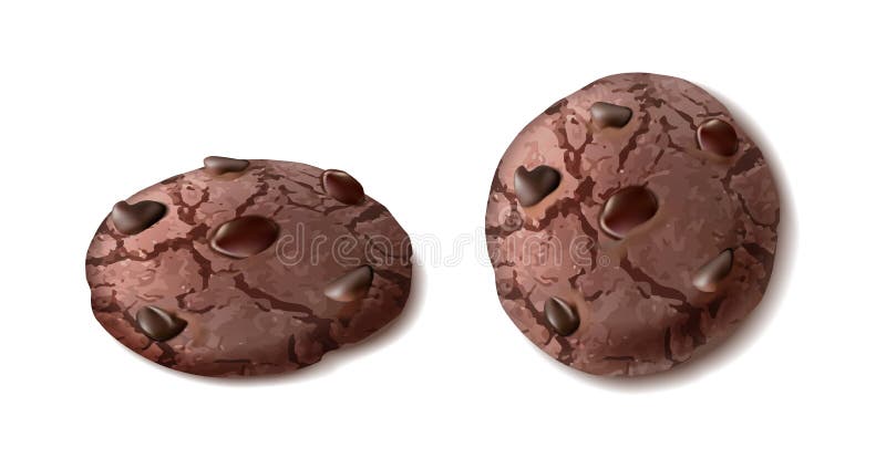 Realistic Vector Icon. Chcolate Chip Cookie in Side and Front View ...