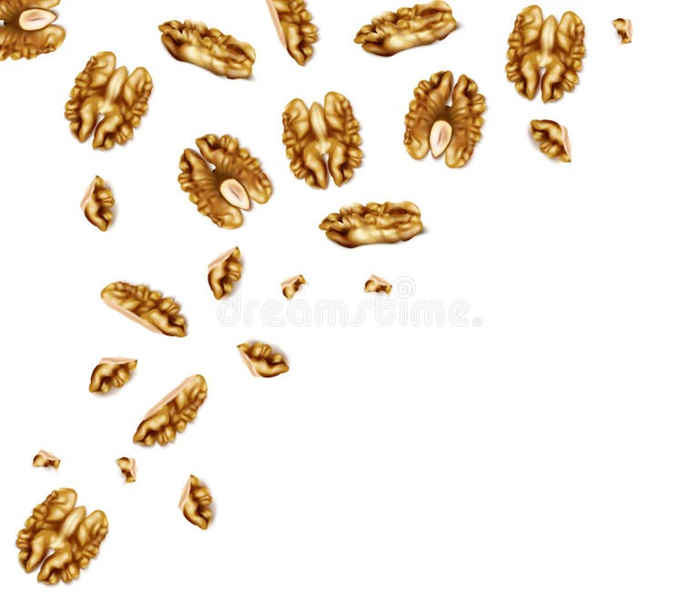 3d Realistic Vector Icon. Walnuts in the Shell in Different Shapes ...