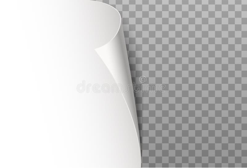 3d Realistic Vector Illustration. Curled Paper Corner. Stock ...