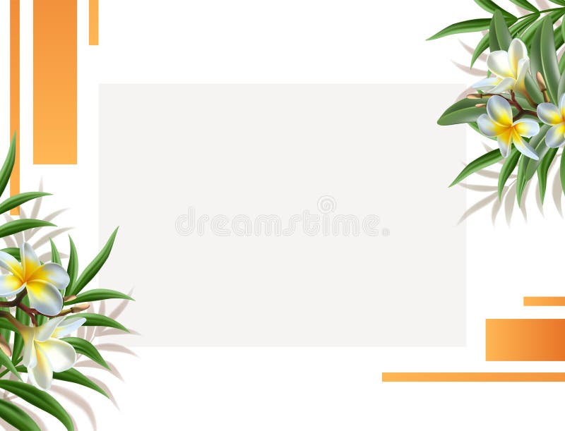 3d Realistic Vector Illustration. Tropical Frangipani Flowers Frame ...