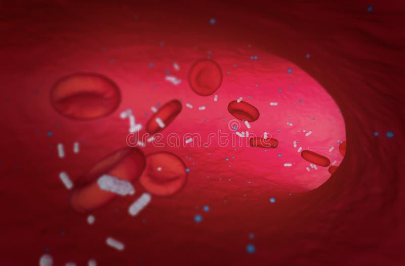 Red Blood Cells Microscope 40x