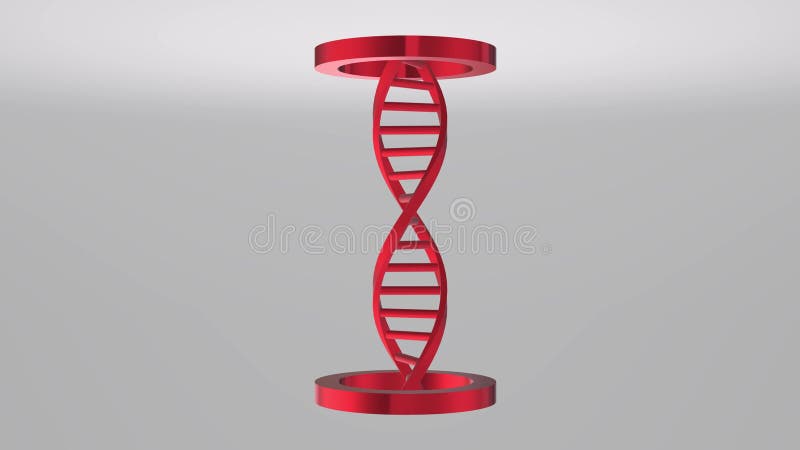 3d Red Plexus Dna Code, DNA Double Helix. 3D Animation of DNA ...