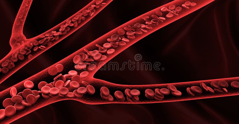 3d Rendant Les Globules Rouges Dans La Veine Illustration Stock ...