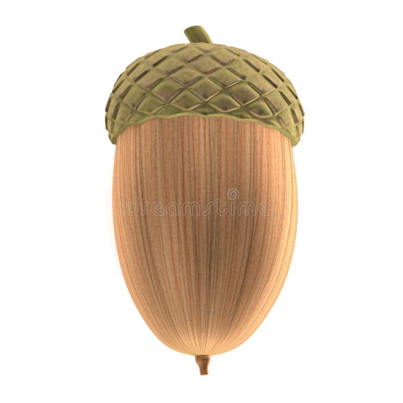 Acorn 3d Model Stock Illustrations – 30 Acorn 3d Model Stock ...