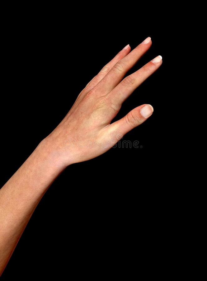 3d Render of Afemale Hand Isolated on Black Stock Illustration ...