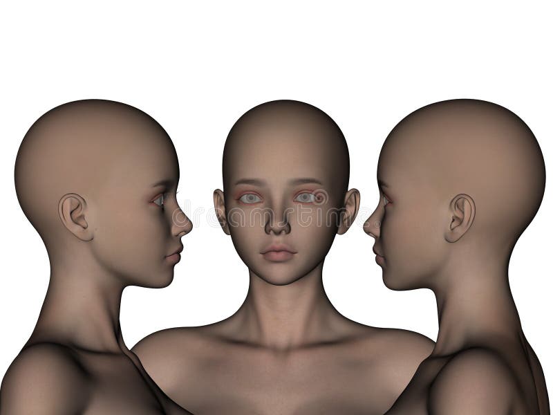 3d Render. and the Angle of a Female Bald Head on a White Background ...