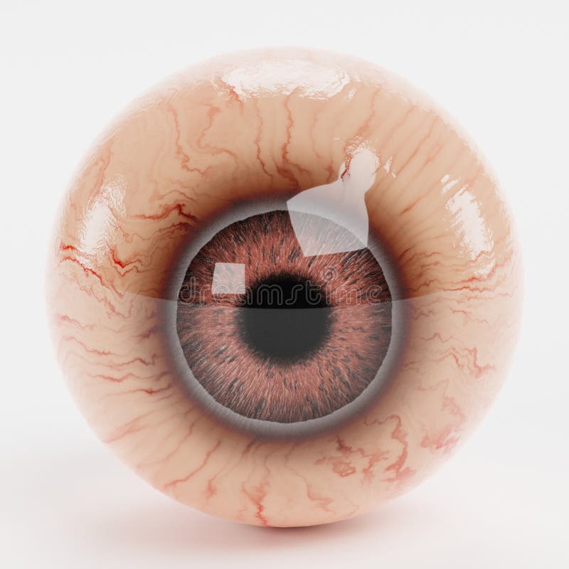 3D Render of Animal Eye stock illustration. Illustration of sclera ...
