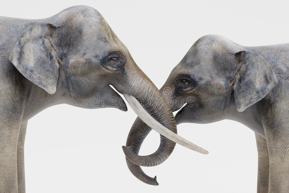 3D Render of Asian Elephants Stock Illustration - Illustration of ...