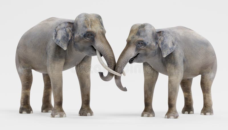 3D Render of Asian Elephants Stock Illustration - Illustration of tusk ...