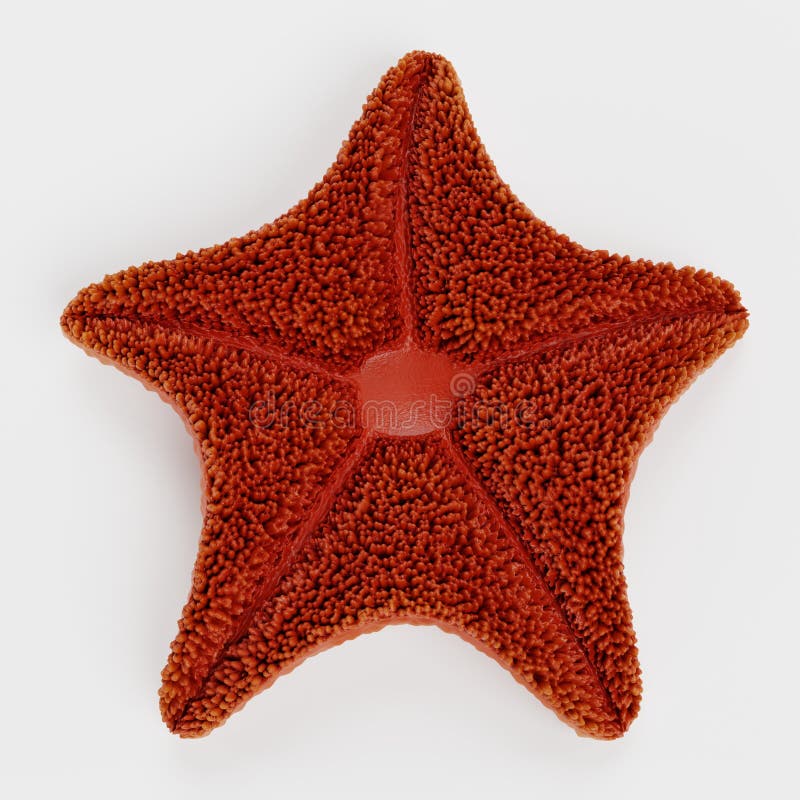 3D Render of Bat Starfish stock illustration. Illustration of seastar ...