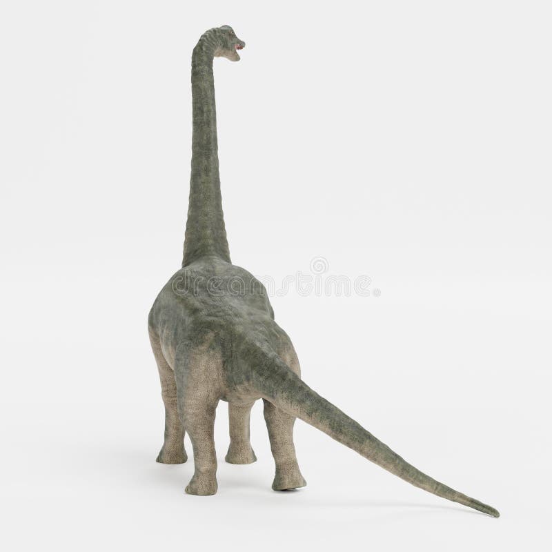 3D Render of Brachiosaurus Dinosaur Stock Illustration - Illustration ...