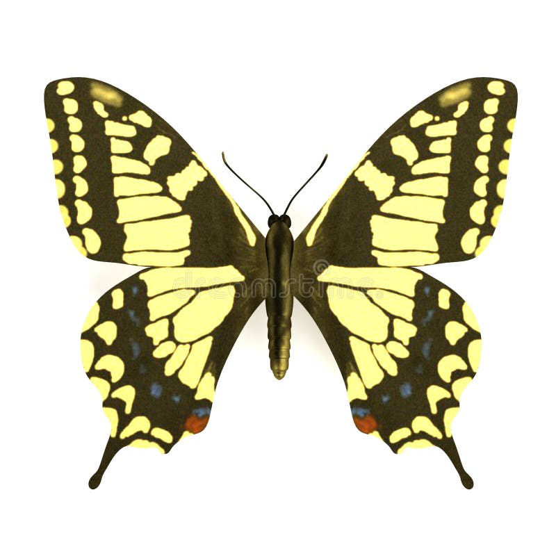 Render of butterfly stock illustration. Illustration of realistic ...