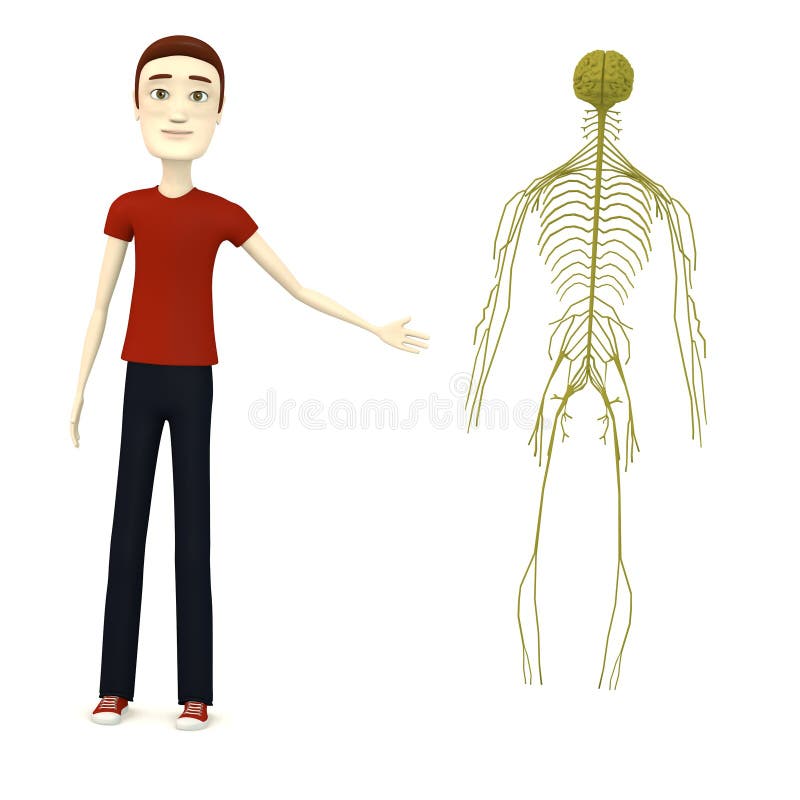Cartoon Boy with Nervous System Stock Illustration - Illustration of ...