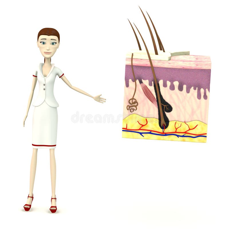 Cartoon Nurse with Skin Anatomy Stock Illustration - Illustration of ...