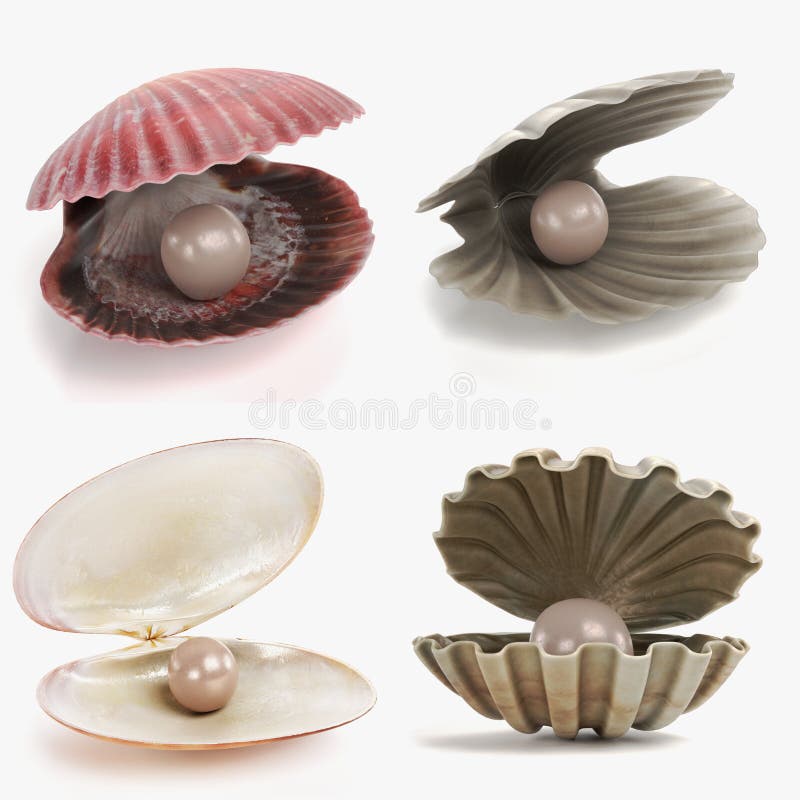 3D Render of Clams with Pearls Stock Illustration - Illustration of ...