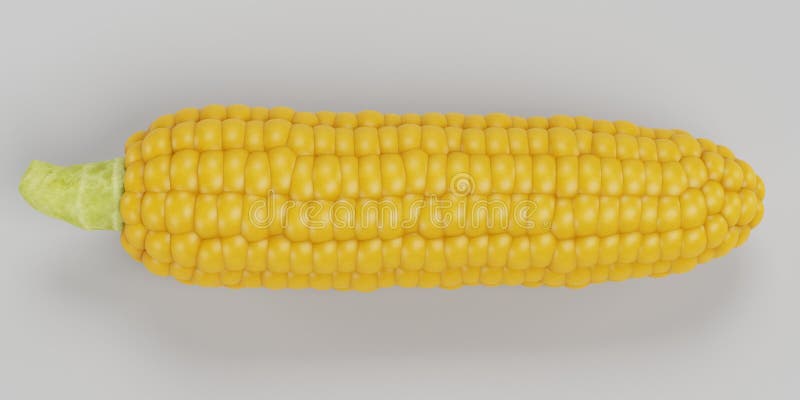 3D Render of Corn stock illustration. Illustration of crop - 262832329