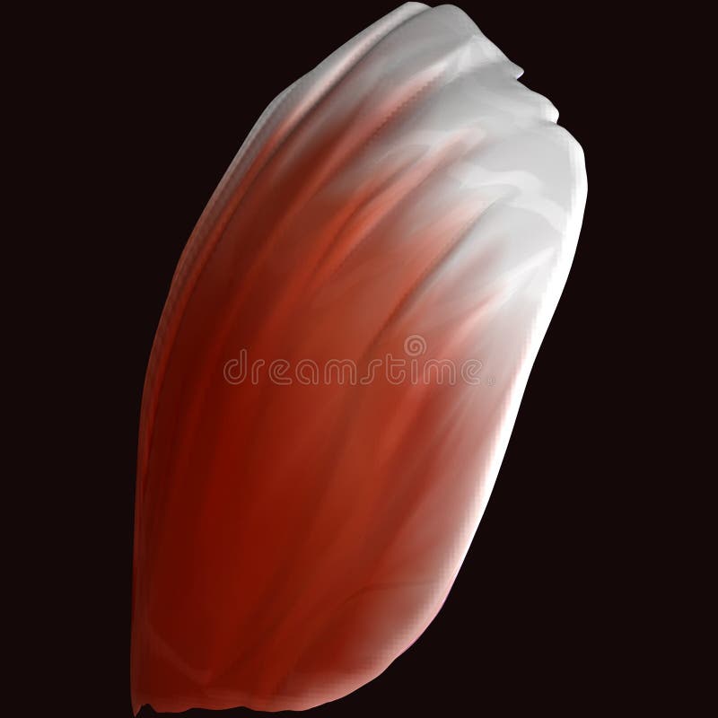 3d Render Depicting the Muscle Structure of the Human Body Stock ...
