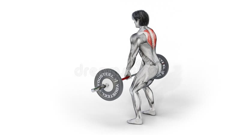 3d Render Design of Muscular Character with Dimensional Shadow ...