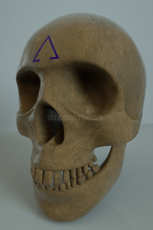 3d Render Detailed Human Skull Stock Illustration - Illustration of ...