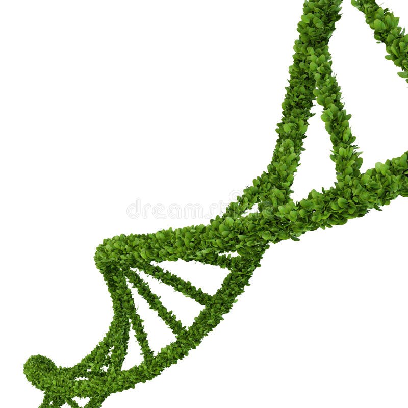 3D Render DNA, Grass Design Stock Illustration - Illustration of birth ...