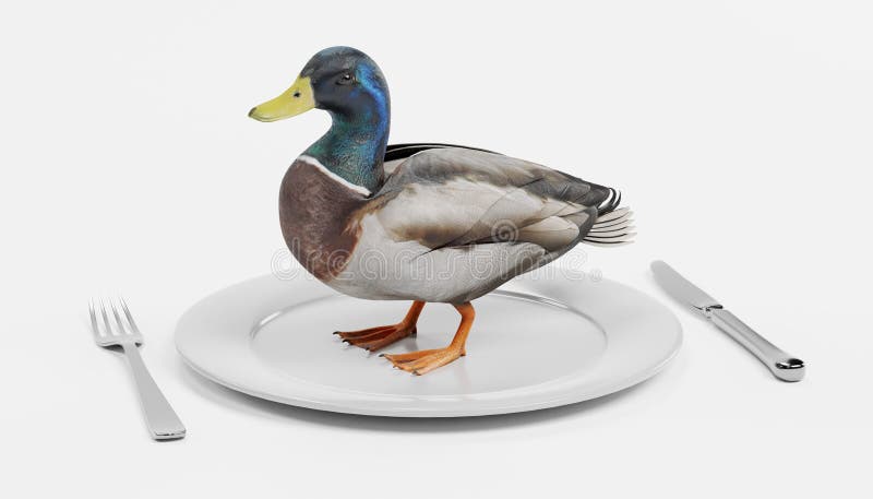 Duck on Plate stock illustration. Illustration of vegan - 115442286
