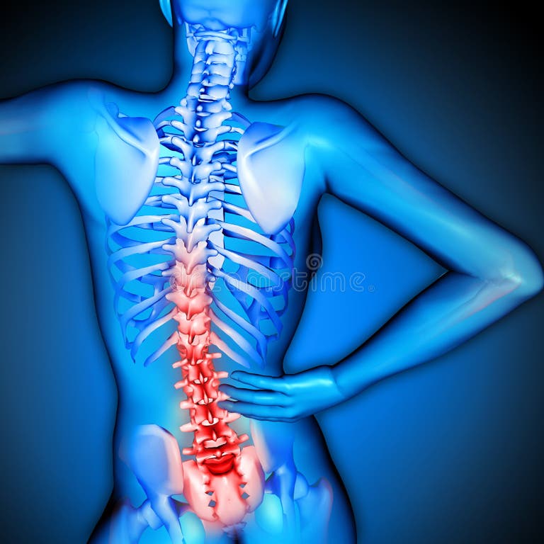 3D Render of a Female Figure with Spine Highlighted Stock Illustration ...
