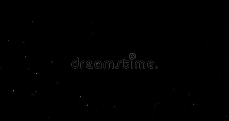 Flying Dust Particles for Video Overlay Background Effect Stock Video ...