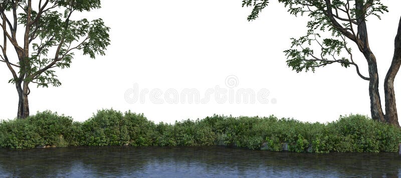 Foreground Branch on a White Background Stock Illustration ...