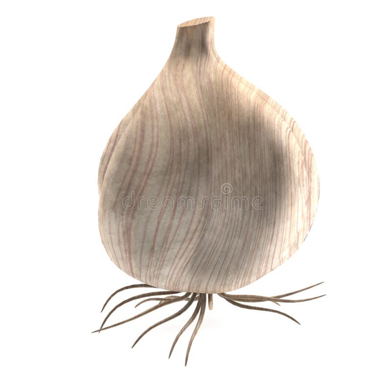 3d render of garlic stock illustration. Illustration of render - 40188673
