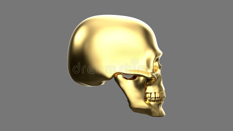 Gold Teeth Skull Stock Illustrations – 426 Gold Teeth Skull Stock ...