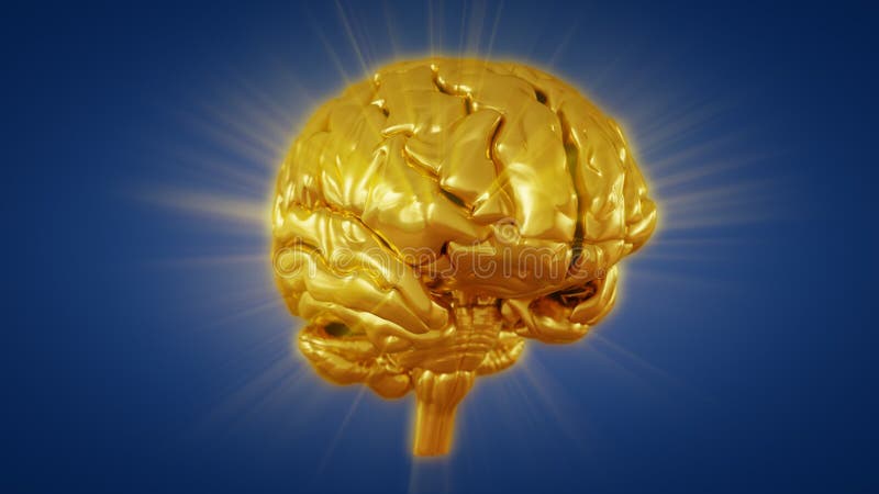 Golden brain stock illustration. Illustration of mind - 2036425