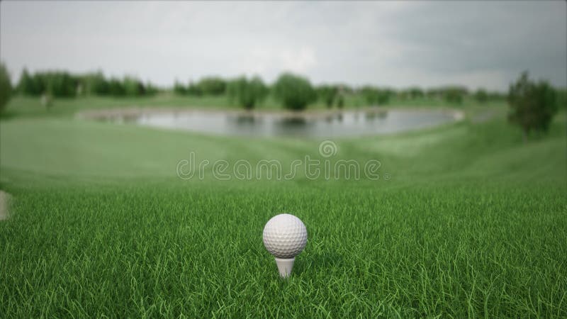 3d Render Golf Ball with a Club on the Field Side View Stock ...