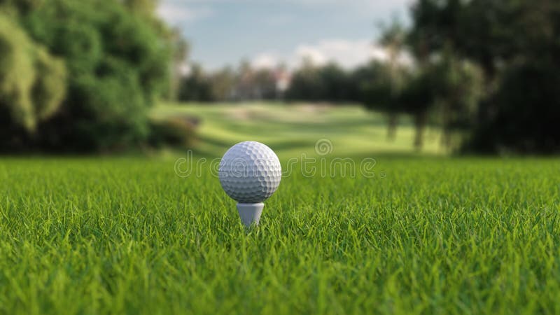 3d Render Golf Ball with a Club on the Field Side View Stock ...