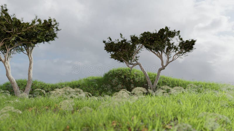 3d Render Green Grass with Trees Nature Landscape Scene Stock ...