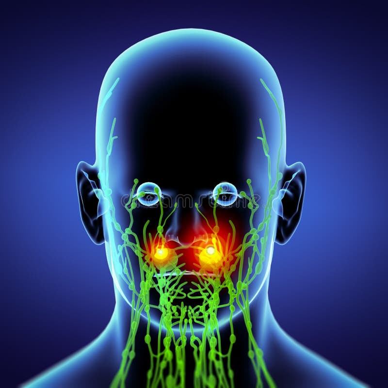 3d Render Green Lymphatic System Stock Illustration - Illustration of ...