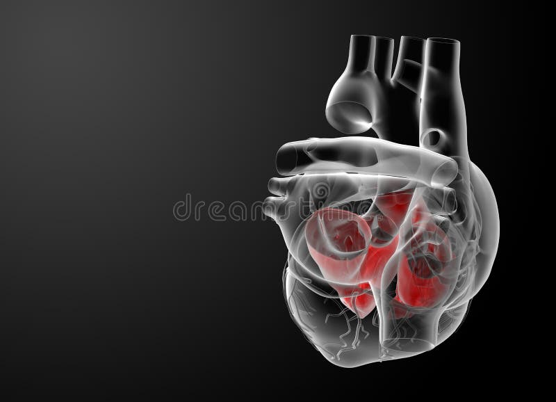 3d render Heart atrium stock illustration. Illustration of anatomy ...